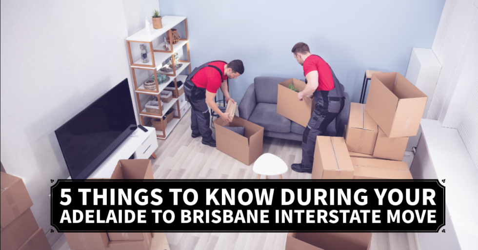 5 Things To Know During Your Adelaide To Brisbane Interstate Move
